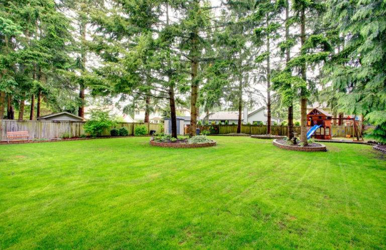 Halifax Landscaping Company | Landscape, Lawn, Tree Care NS
